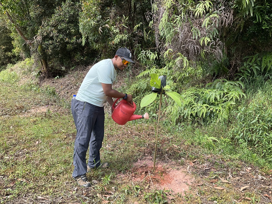 Prokhas Sdn Bhd - Tree Planting Activity at Kepong Botanic Gardens FRIM ...