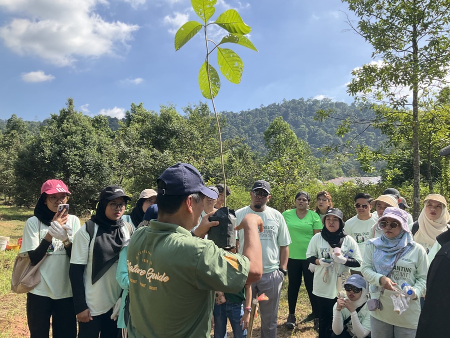 Prokhas Sdn Bhd - Tree Planting Activity at Kepong Botanic Gardens FRIM ...