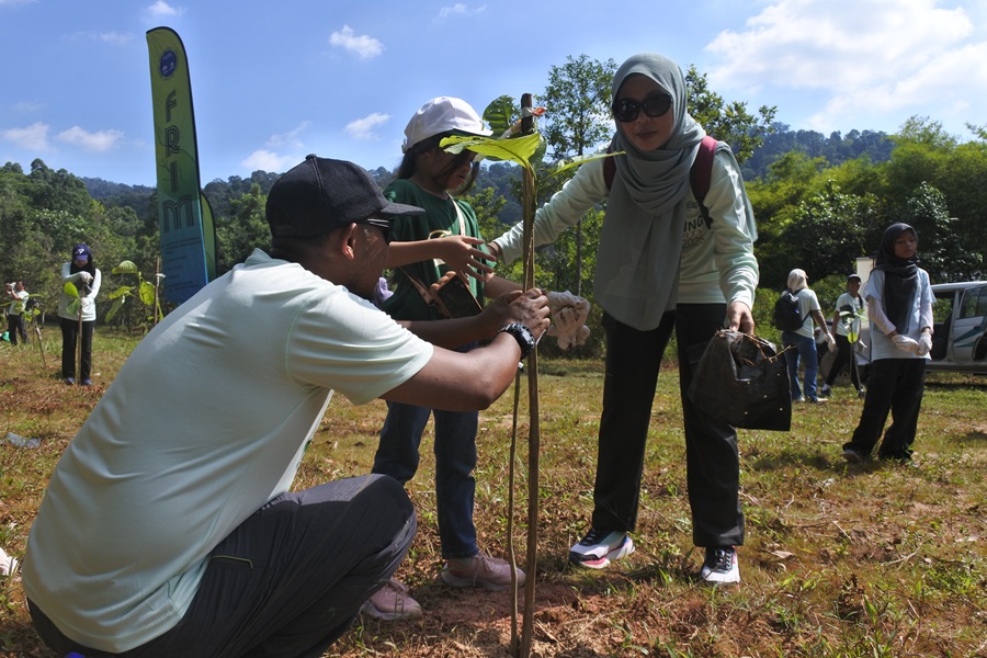Prokhas Sdn Bhd - Tree Planting Activity at Kepong Botanic Gardens FRIM ...