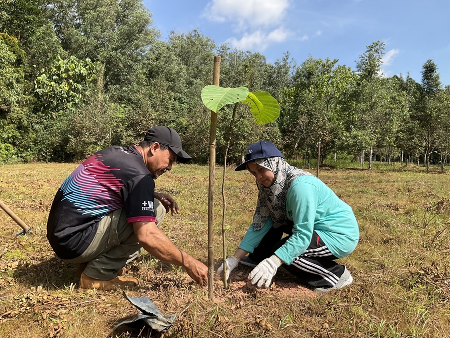 Prokhas Sdn Bhd - Tree Planting Activity at Kepong Botanic Gardens FRIM ...